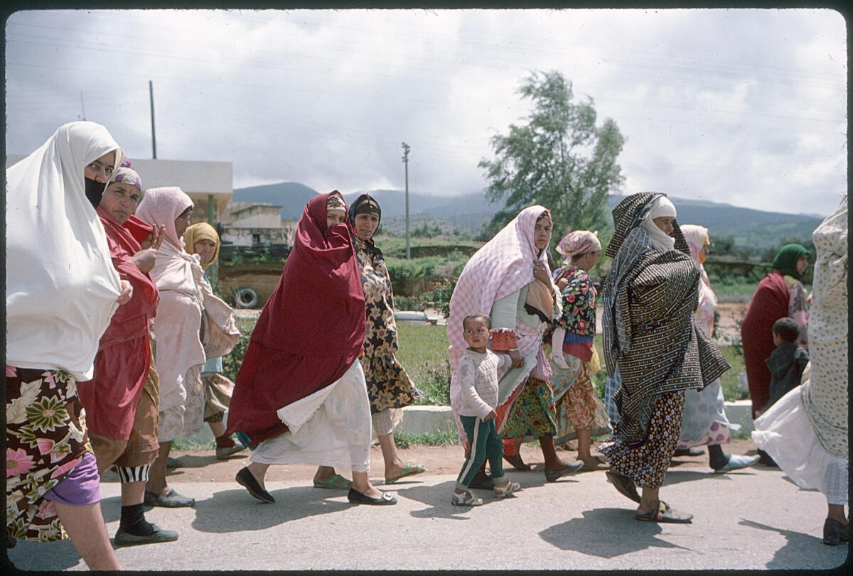 Heidi Alexander Photography